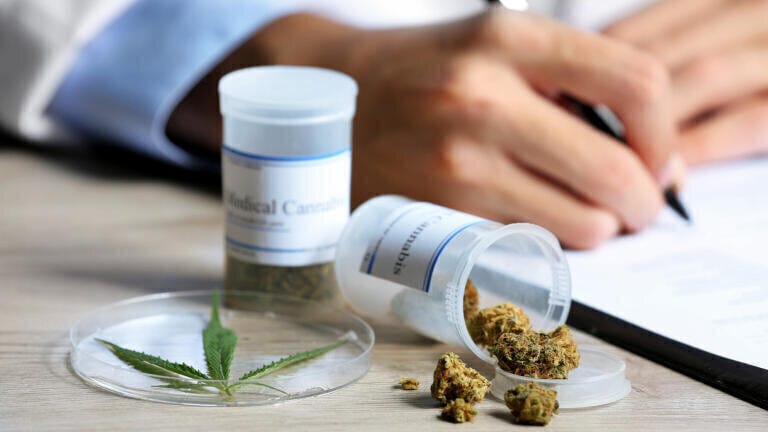 Revolutionising Cannabis Potency Analysis Chromatography Today