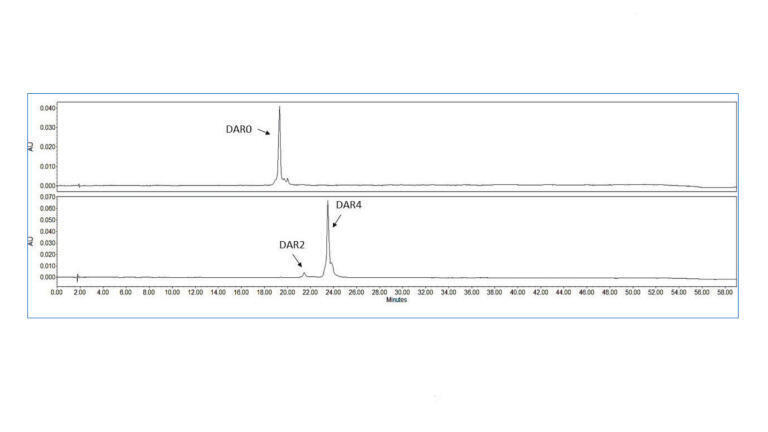 DAR determination of a 3rd generation, site-specific ADC using reversed ...