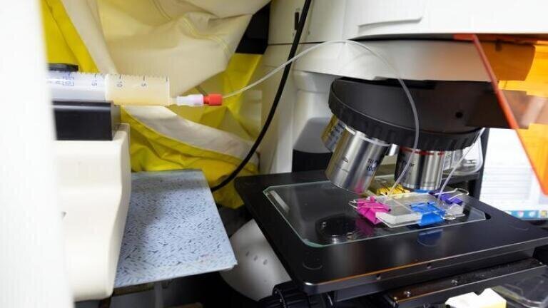 High-performance liquid chromatography confirms rapid pollutant ...