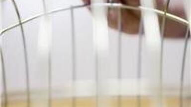 Journal watch: Unlocking efficiency in column chromatography with ...
